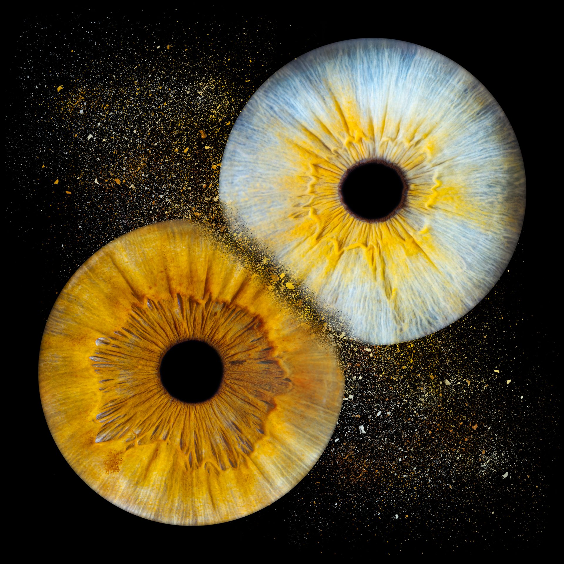 Comment se déroule le rendez-vous ? - Studio Iris